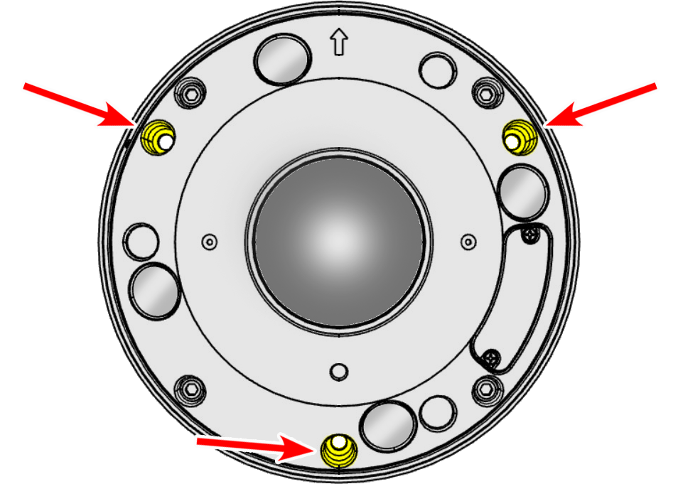 Fisheye contents